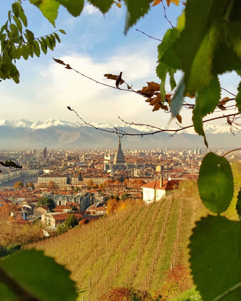 Torino_Mole_Antonelliana | Piedmont Tours